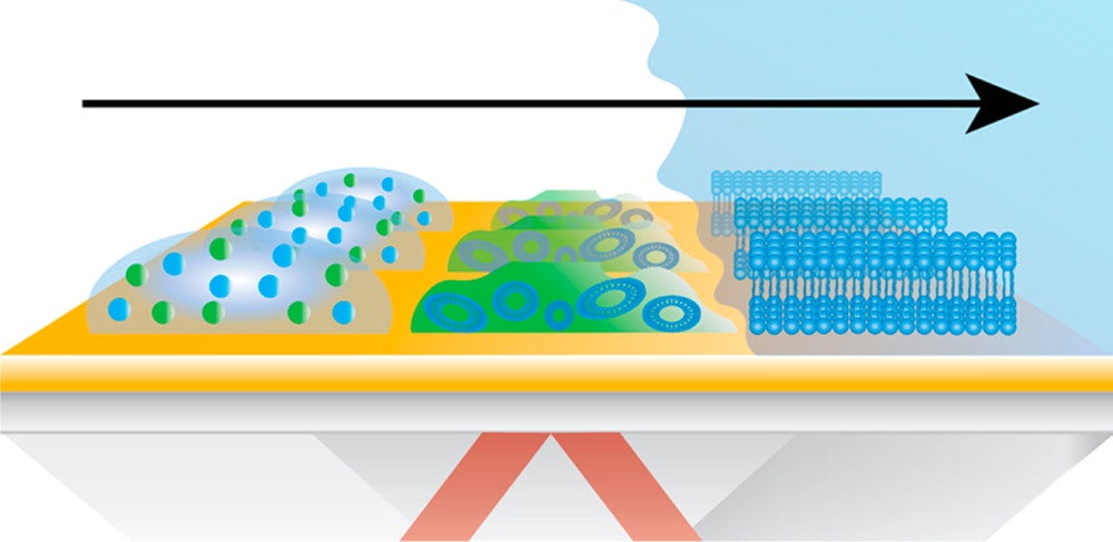 Biomimetic Membranes for Sensor Development and Biophysical Studies ...